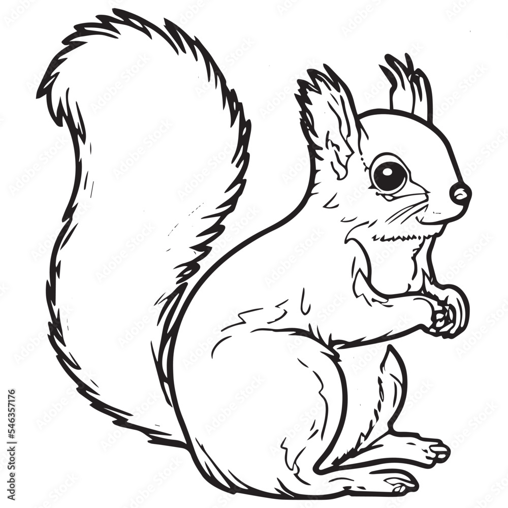 Squirrel outline vector illustration. Coloring book for children. Cartoon wild animal in black ...