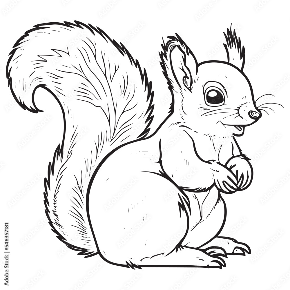 Squirrel outline vector illustration. Coloring book for children ...