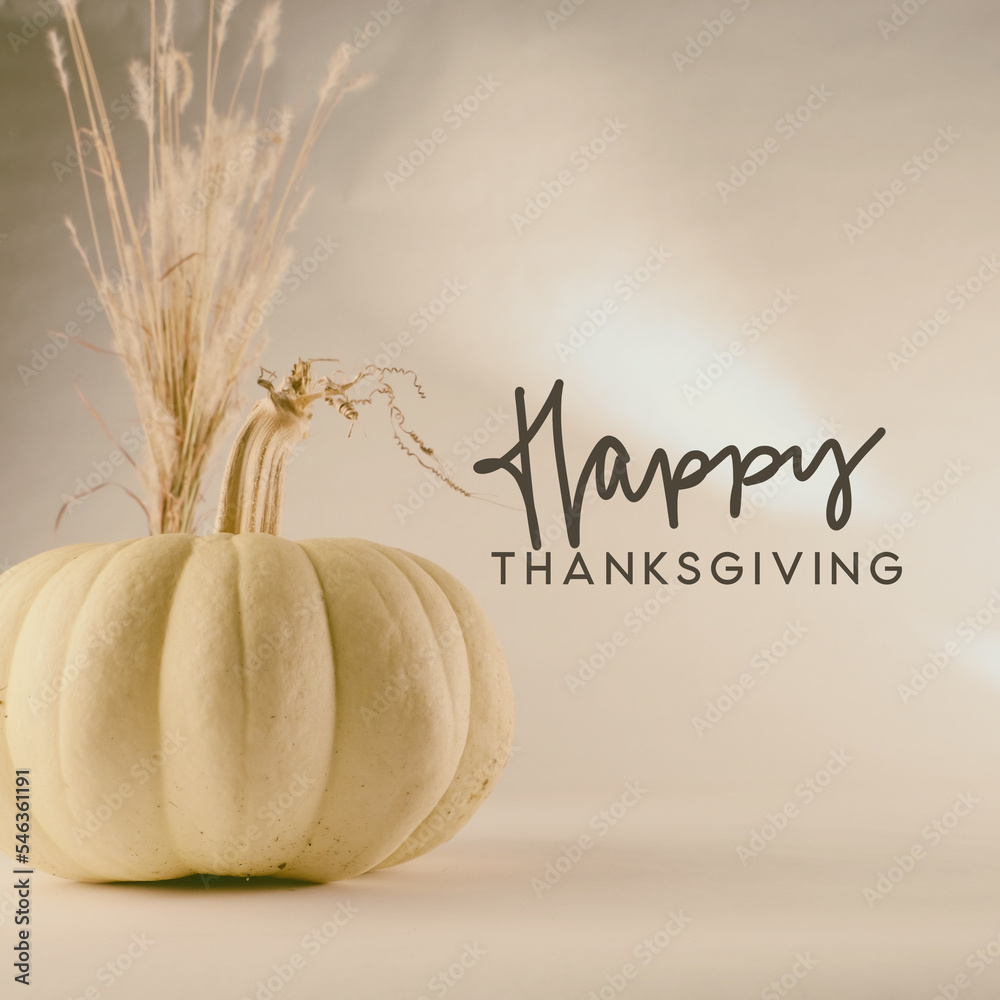 Modern and minimalism style with white pumpkin and Happy Thanksgiving ...