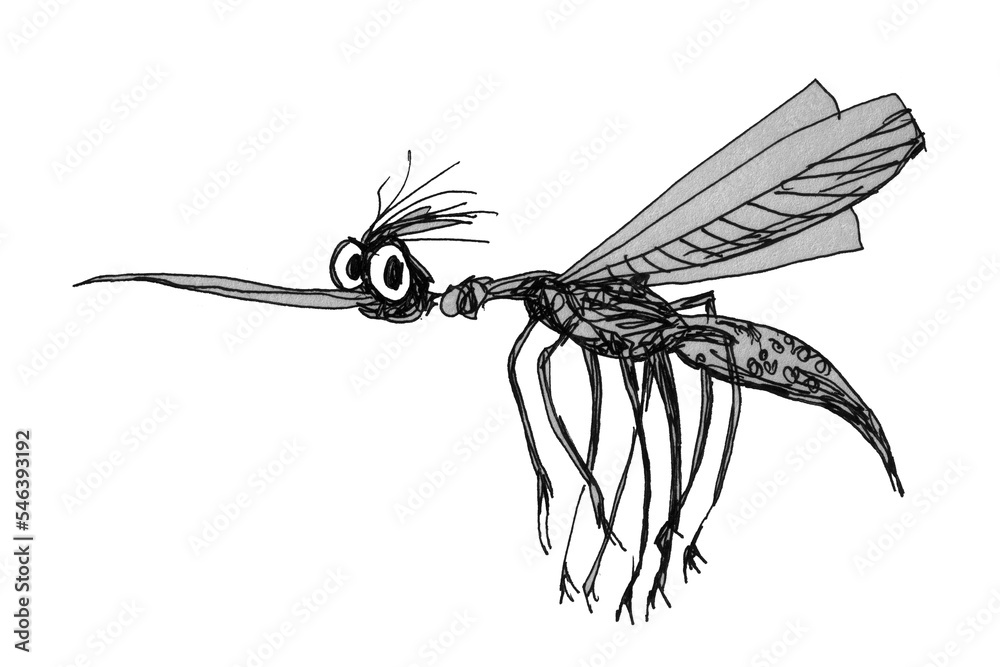 Mosquito character with cartoon style. A thin insect with wings and a ...