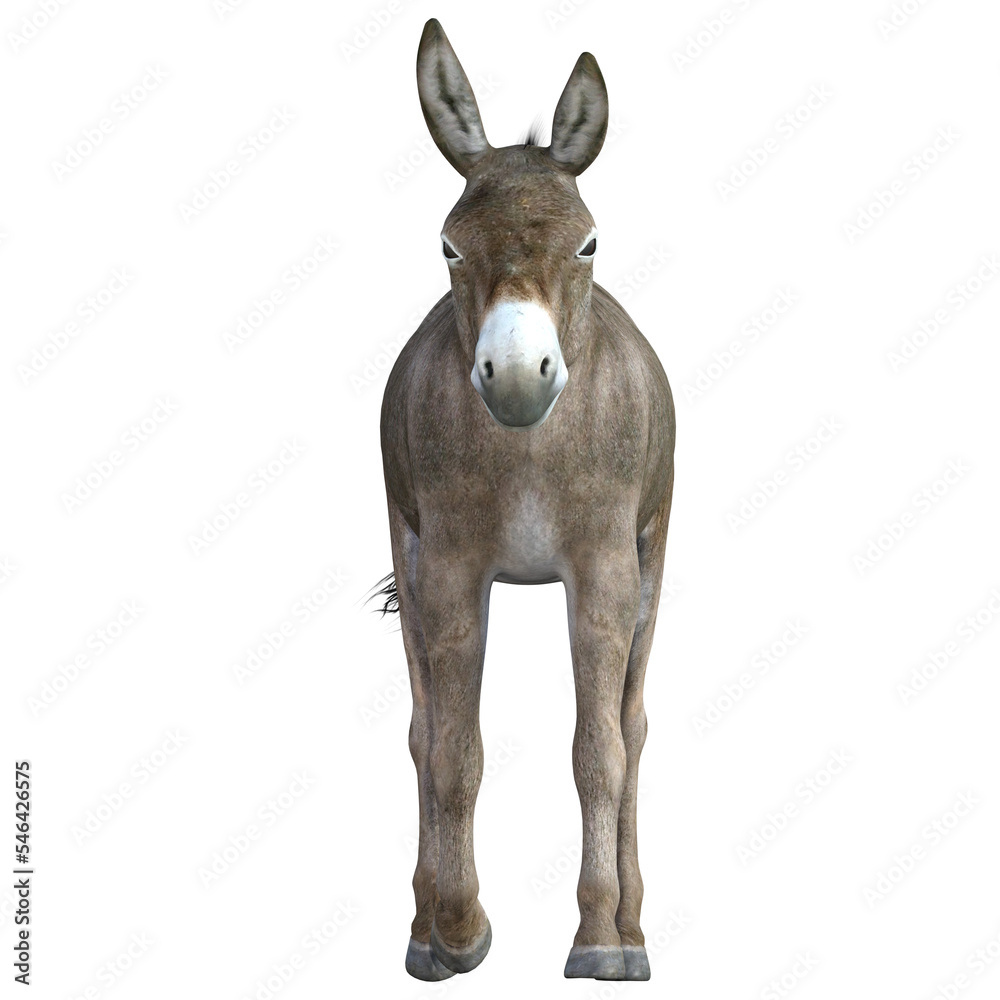 Donkey isolated on transparent background Stock Illustration | Adobe Stock