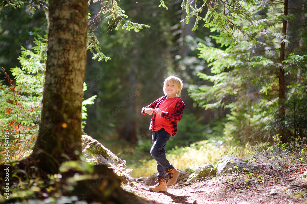 Cheerful school child is hiking and exploring nature in the forest ...