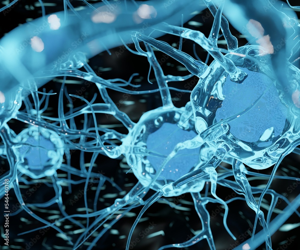 Neurons are information messengers. They use electrical impulses and ...