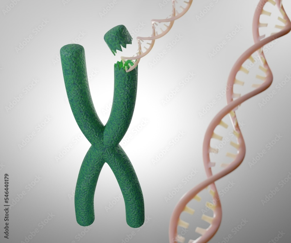 DNA inside of x chromosome. DNA strands and chromosome. Human genetic ...