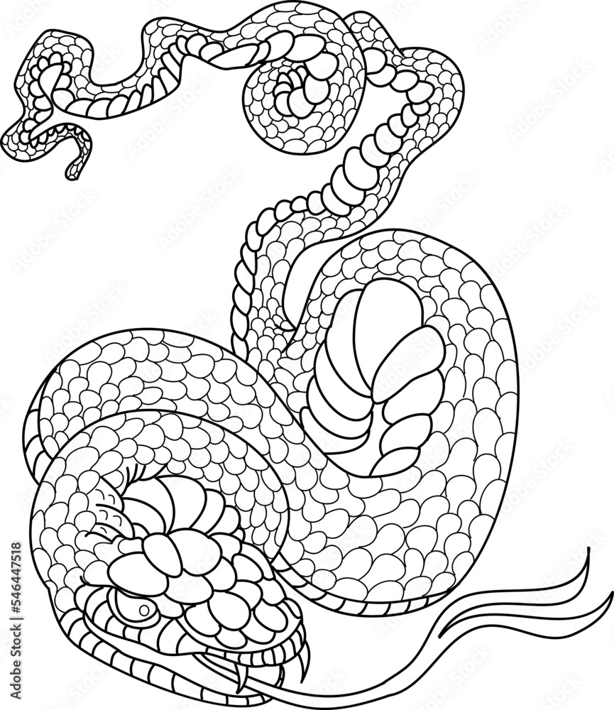 Hand drawn snake vector for coloring book and tattoo design isolate on ...