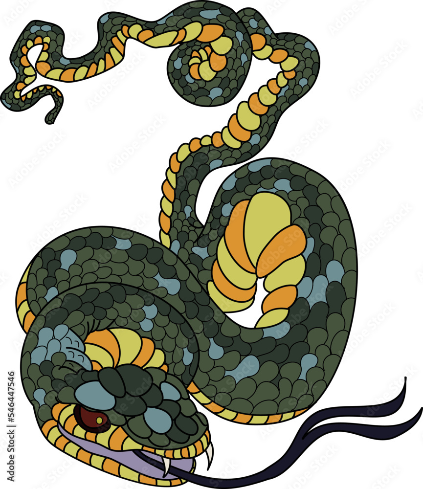 Hand drawn snake vector for coloring book and tattoo design isolate on ...