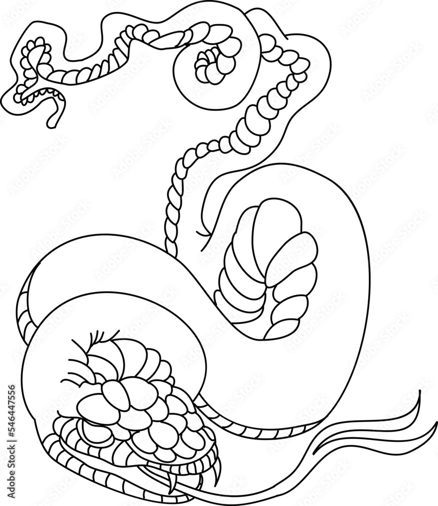 Hand drawn snake vector for coloring book and tattoo design isolate on ...