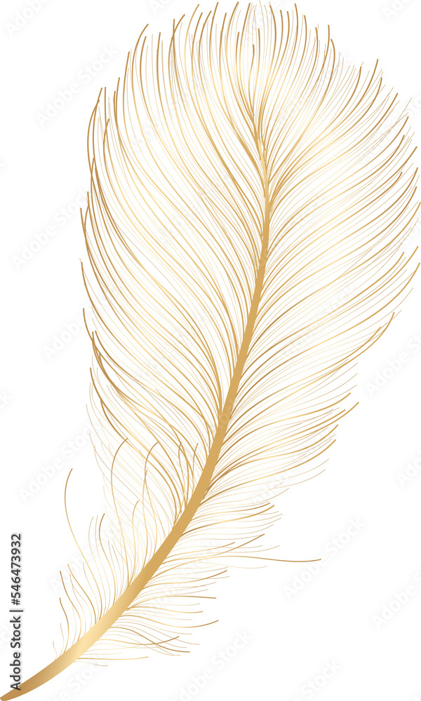 Gold feather hand drawn Stock Illustration | Adobe Stock