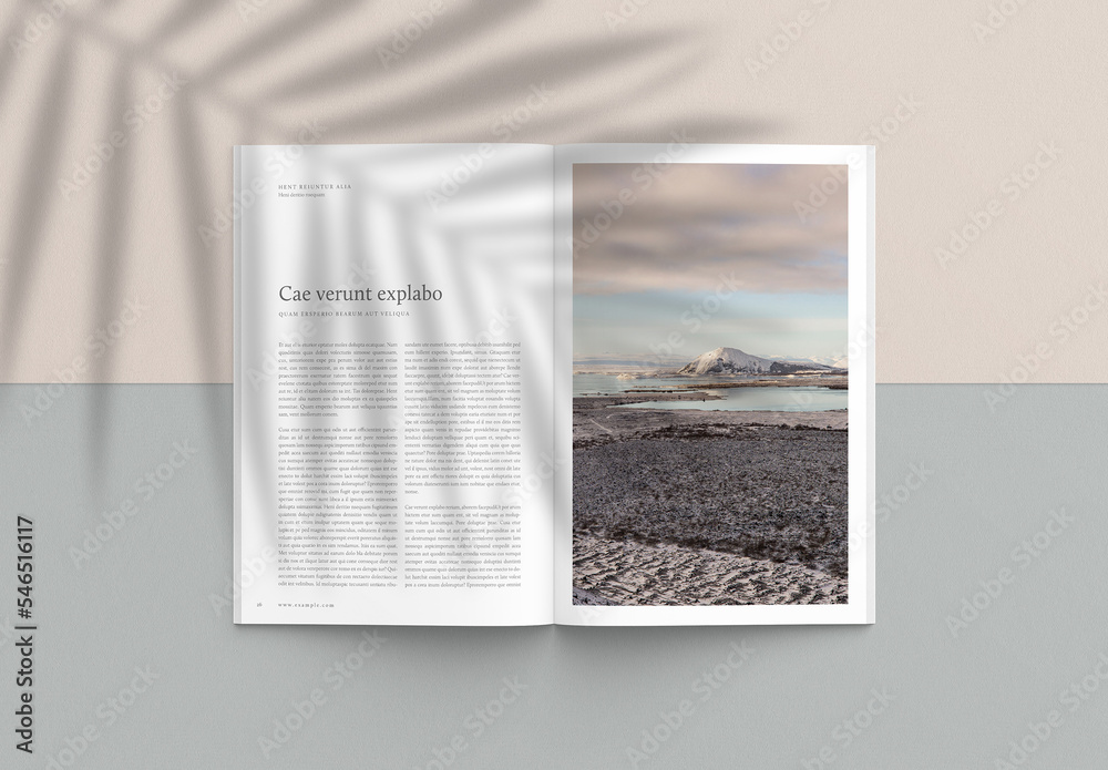 Magazine Spread Mockup with Paper Texture Stock Template | Adobe Stock