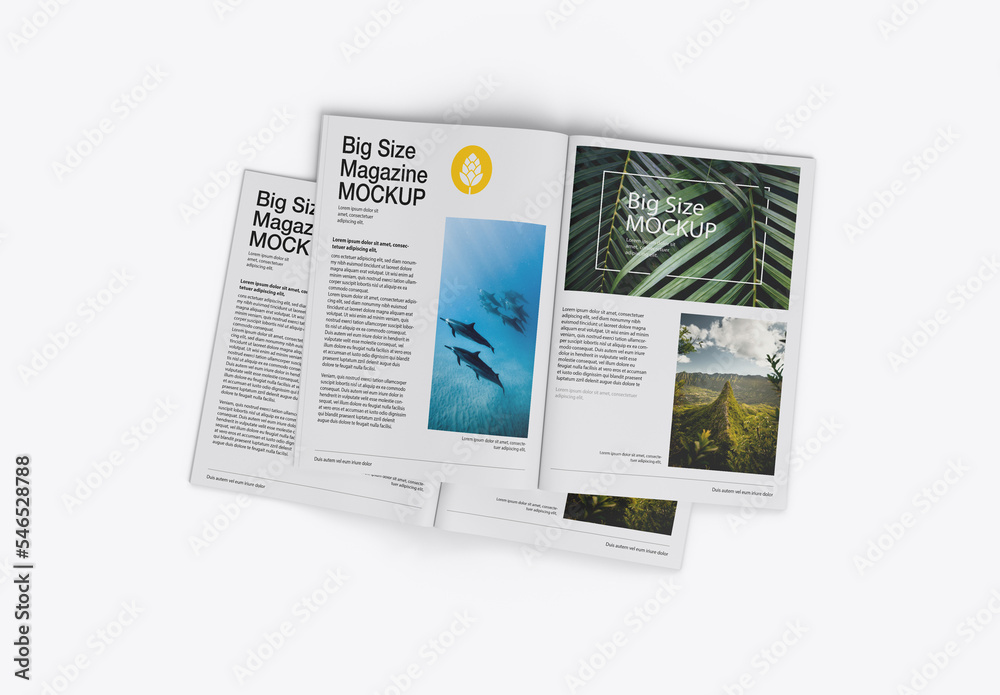 Matte Big Size Magazines Covers Mockup Stock Template | Adobe Stock