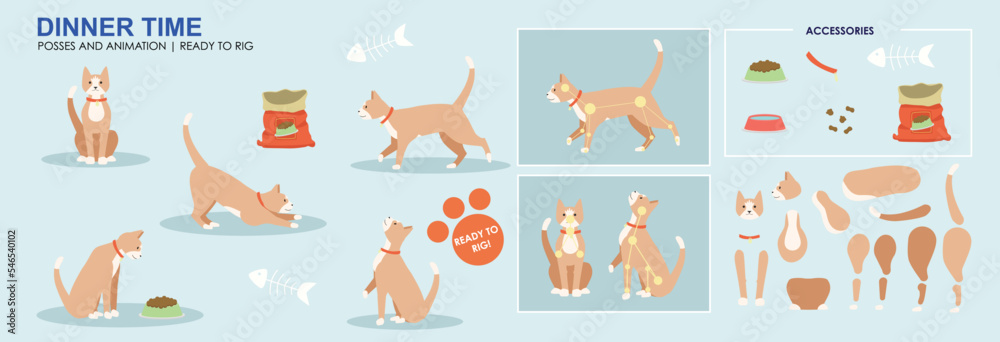 Cute Ginger cat dinner time, eating snacks food fish, multiple poses ...