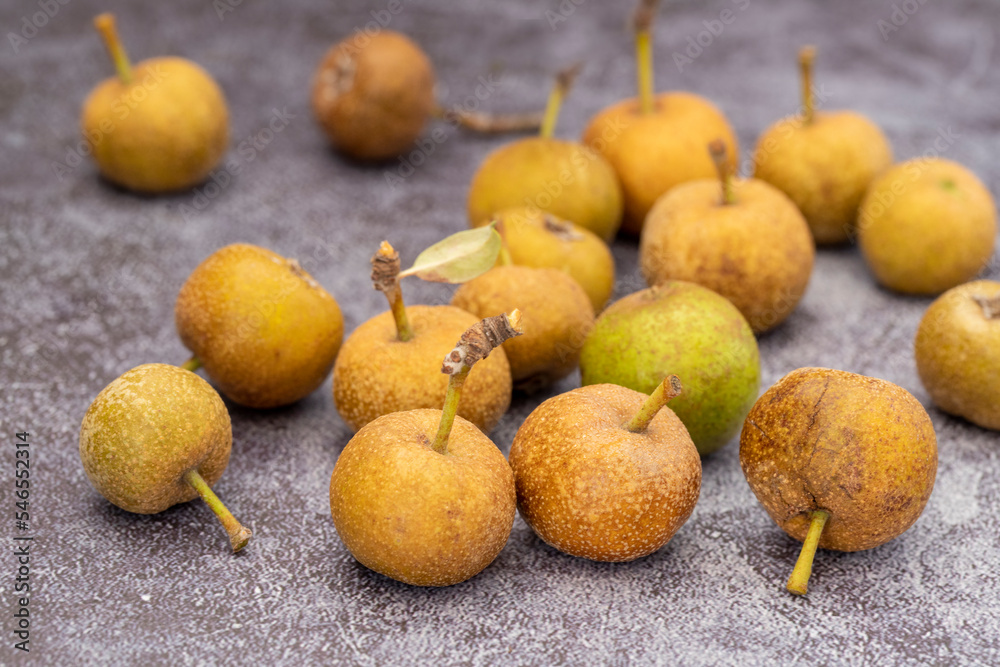 Wild pear (also known as Pyrus pyraster, pyrus elaeagrifolia ...