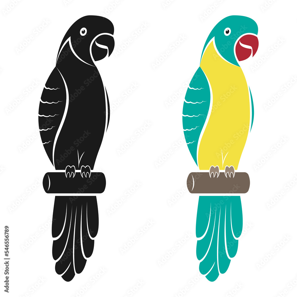 Vector of two parrot design isolated on transparent background. Wild ...