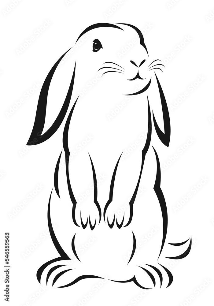 Vector of rabbit design isolated on transparent background. Wild ...