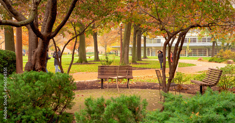 Outdoor seating on a college campus. Trees overhang the space with ...