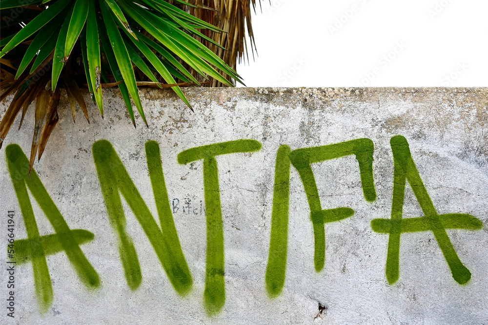 Green color ANTIFA graffiti on white wall, yucca plant, Lagos, Algarve ...
