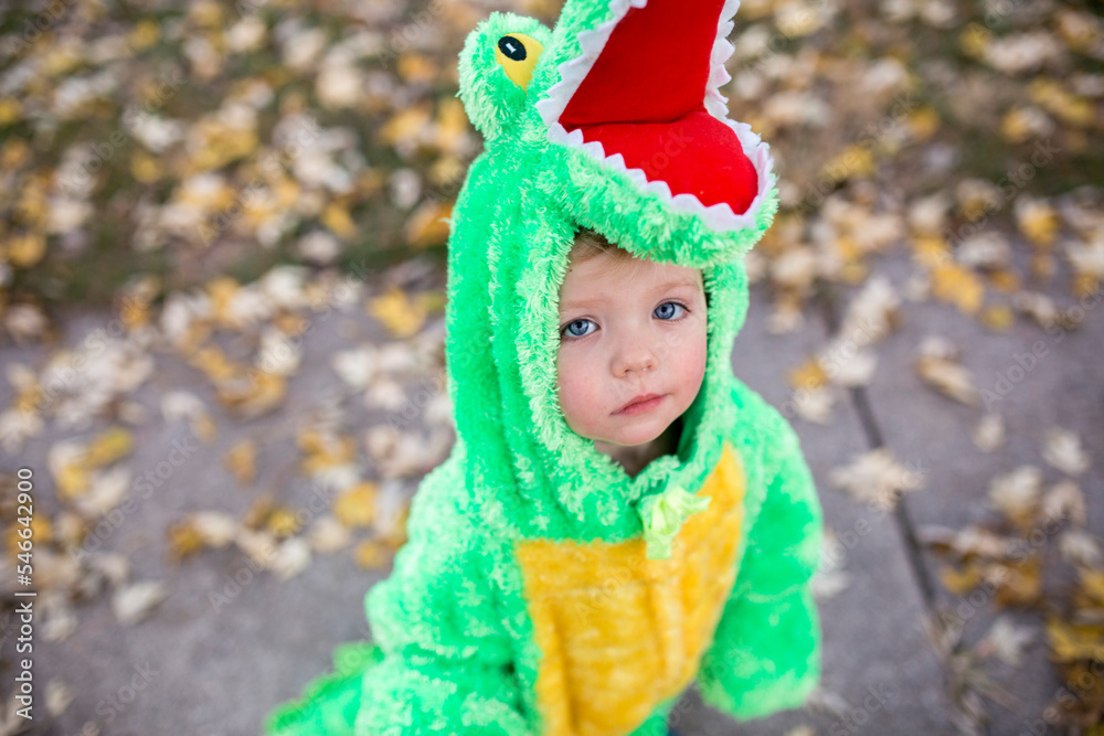 Little girl looking up dressed in alligator costume on Halloween Stock ...