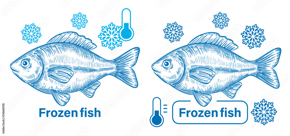 Fresh frozen fish, freezing seafood in ice, cold water carp in ...