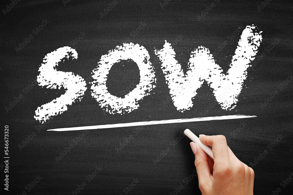 SOW Statement Of Work - document routinely employed in the field of ...