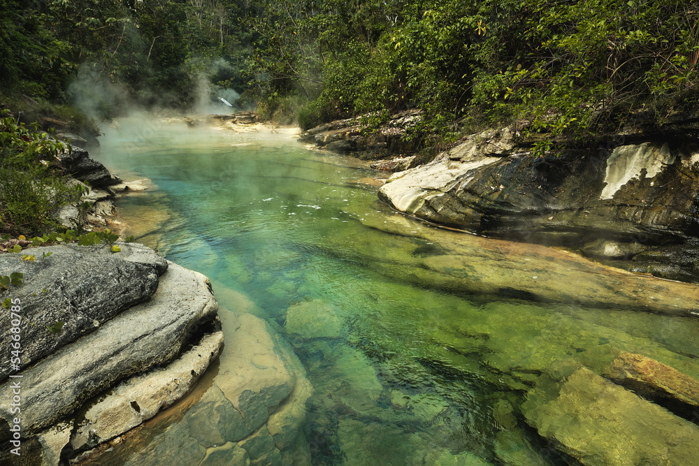 rainforest landscape with a river Stock Photo | Adobe Stock
