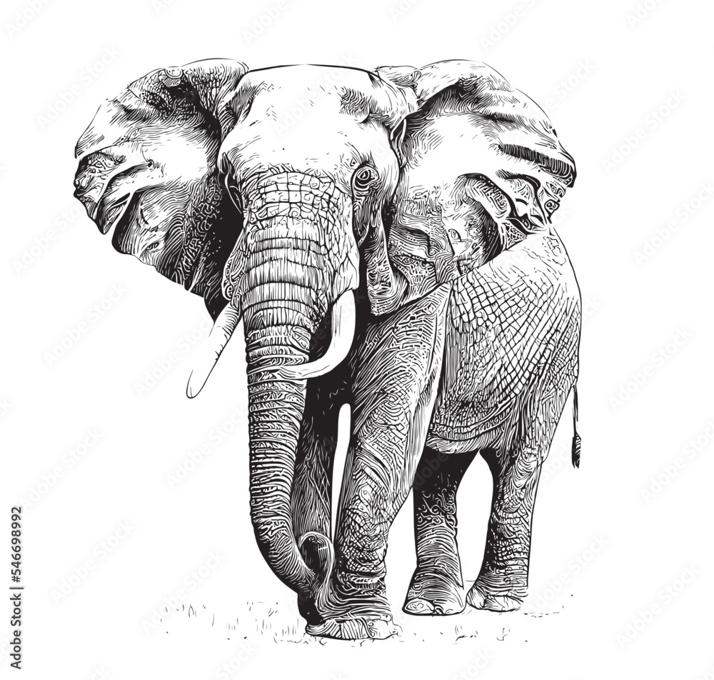 Elephant standing hand drawn engraving style sketch Vector illustration ...