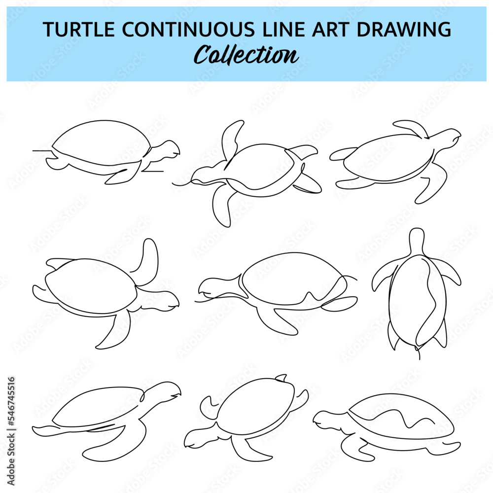 Set of turtle line design. Simple animal silhouette decorative elements ...