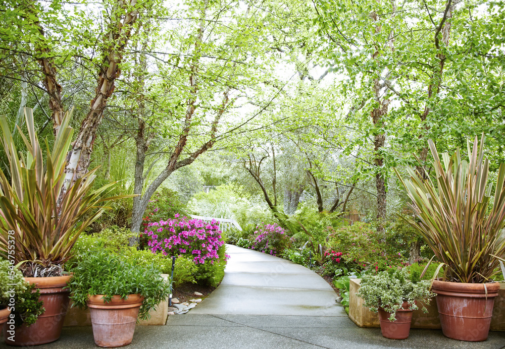 Pathway sidewalk through garden Stock Photo | Adobe Stock
