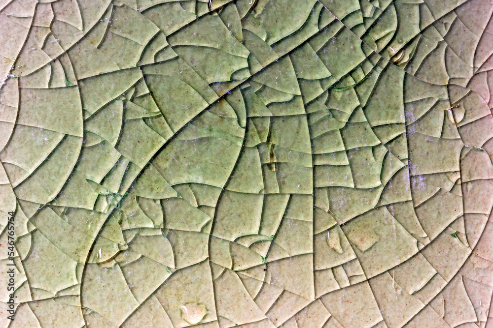 Close up to background and texture of stretch marks cracked on emerald ...