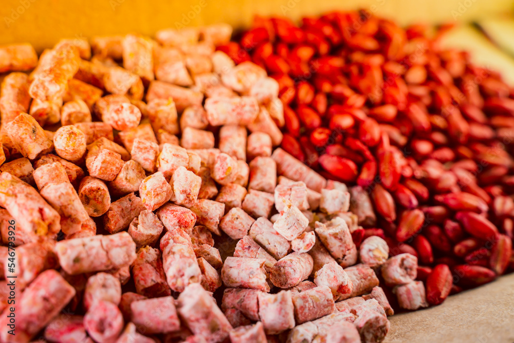 Comparison of two different substances for the control of small rodents ...