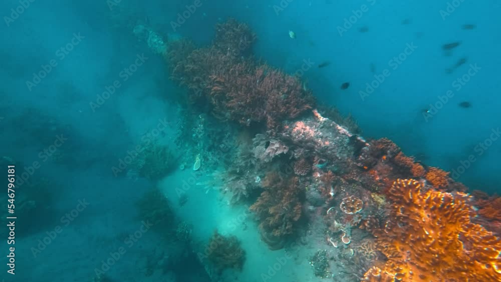 Underwater footage of a destroyed sunken ship covered with seaweed and ...