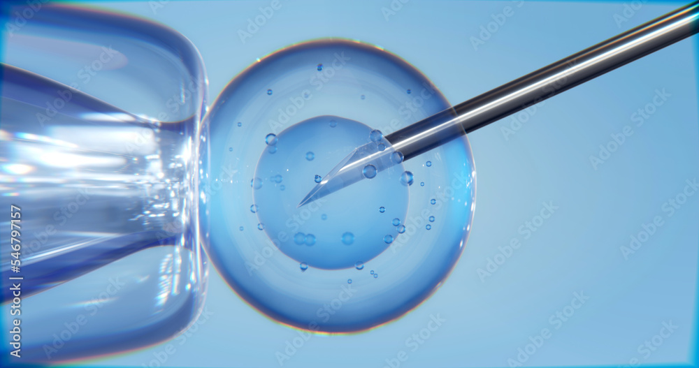 Laboratory procedure with an egg cell, and needle injection. In Vitro ...