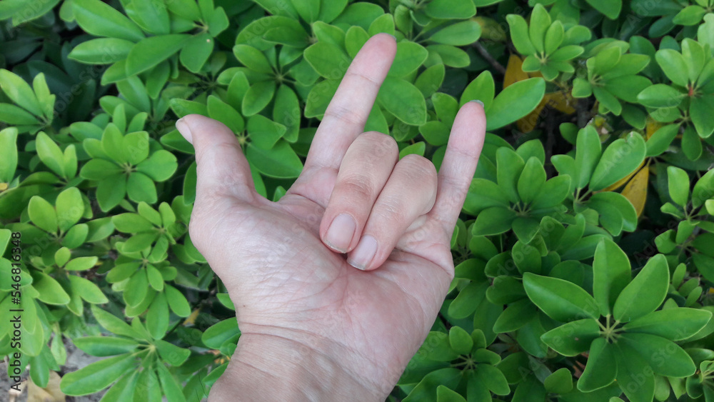Man palm isolated pose. Hand pose close-up. Photos of various poses of ...