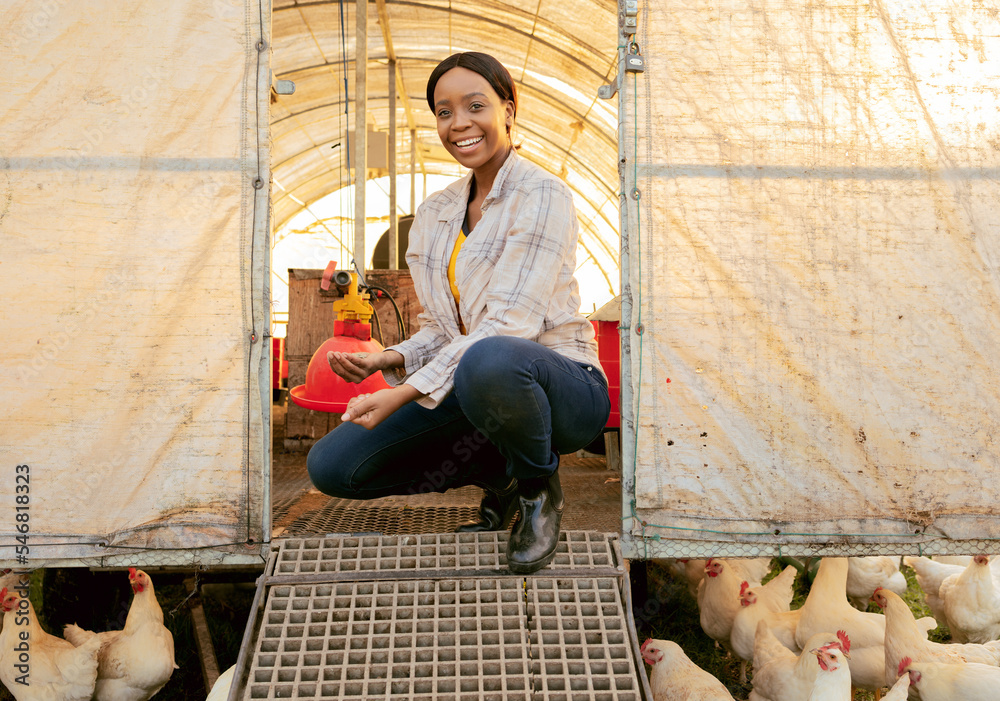 Farm, agriculture and chickens with a farmer black woman in a chicken ...