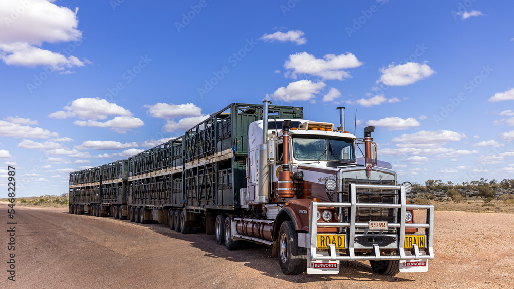 Transport of farm animals by road train across the Australian continent ...