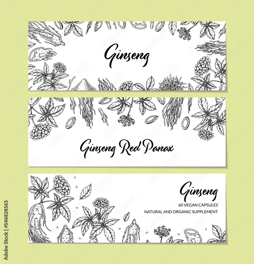 Set of ginseng horizontal design. Hand drawn botanical vector ...