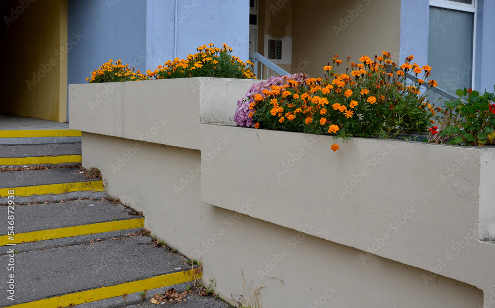 construction concrete formwork with holes inside used for building ...