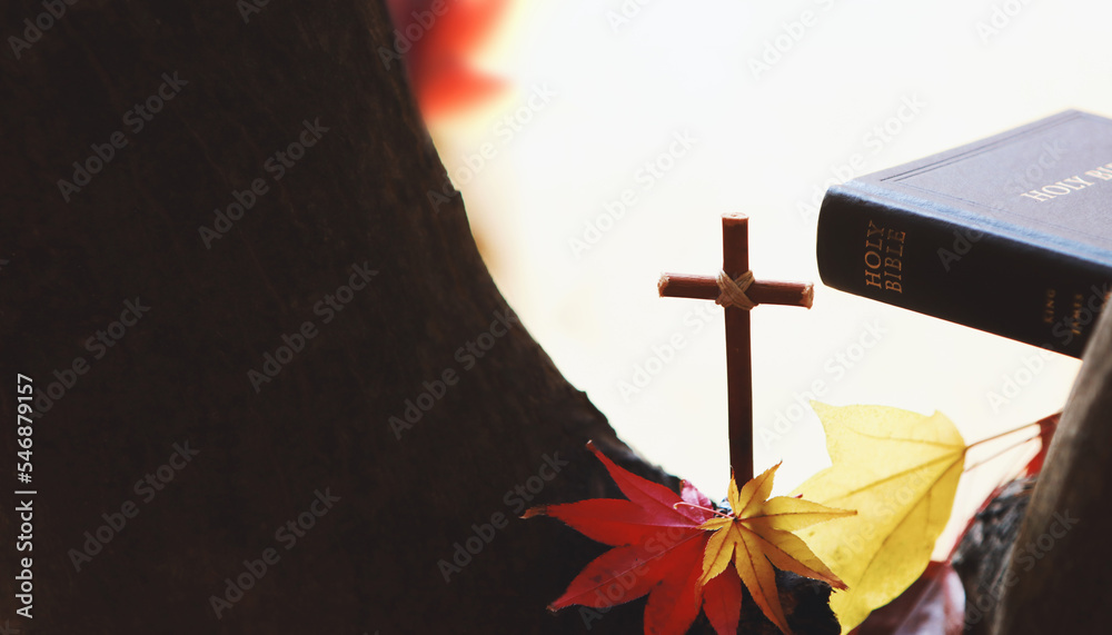 Holy cross of Jesus Christ and bible book among autumn leaves, red ...