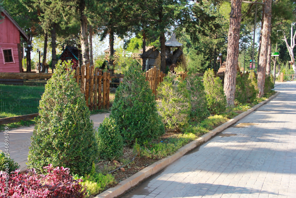 landscape design of the park of green shrubs trimmed in the shape of a ...