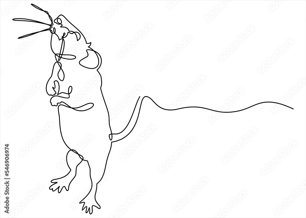 Rat continuous .One single line drawing. sign. Stock Illustration ...