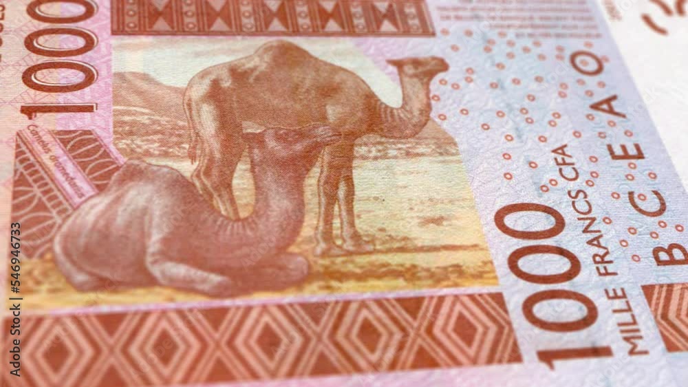 Burkina Faso West African CFA franc 1000 Banknotes, Thousand Burkina ...
