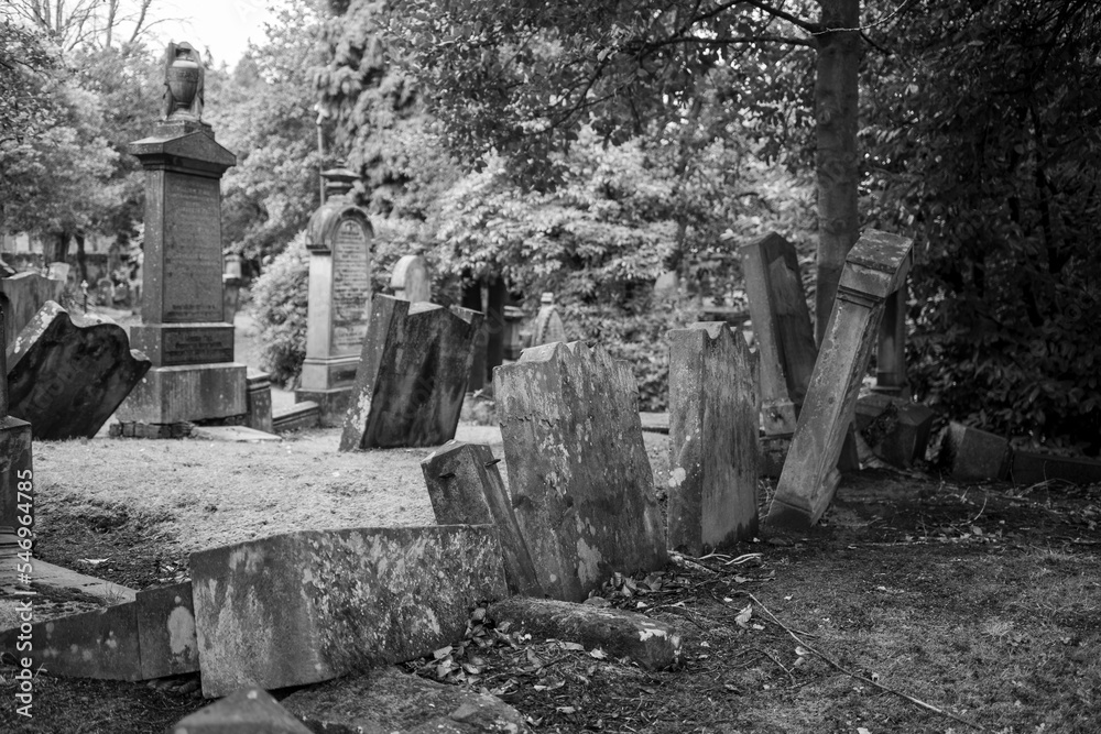 The old cemetery of Bothwell Parish Church and is dedicated on October ...