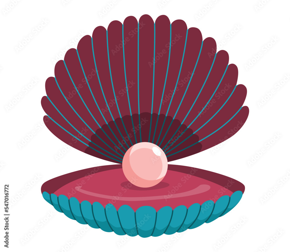 Pearl In Shell Illustration