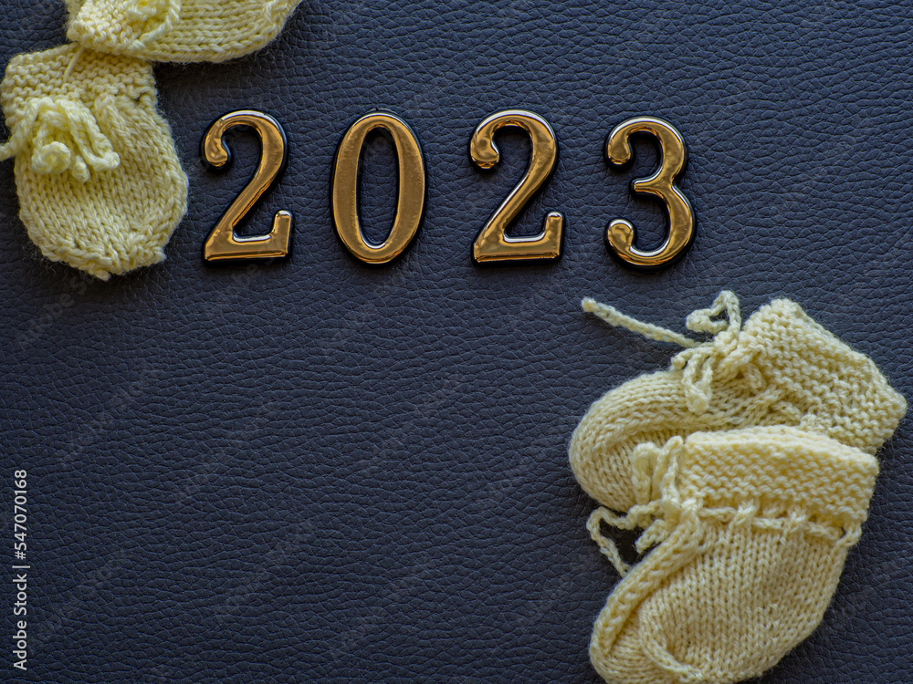 2023 and expectation concept. Top view. Flat lay. Happy motherhood ...