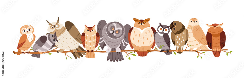 Cute owls sitting on tree branch in row. Funny curious birds together ...