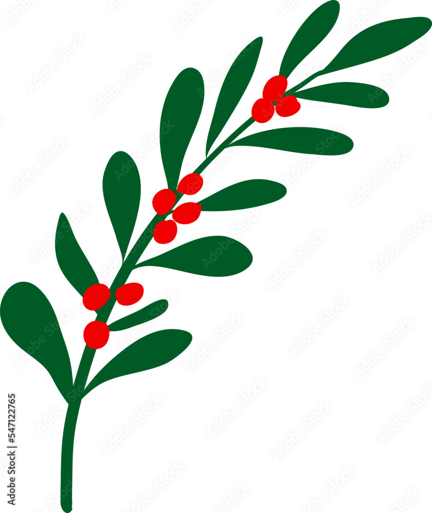 Mistletoe Leaf