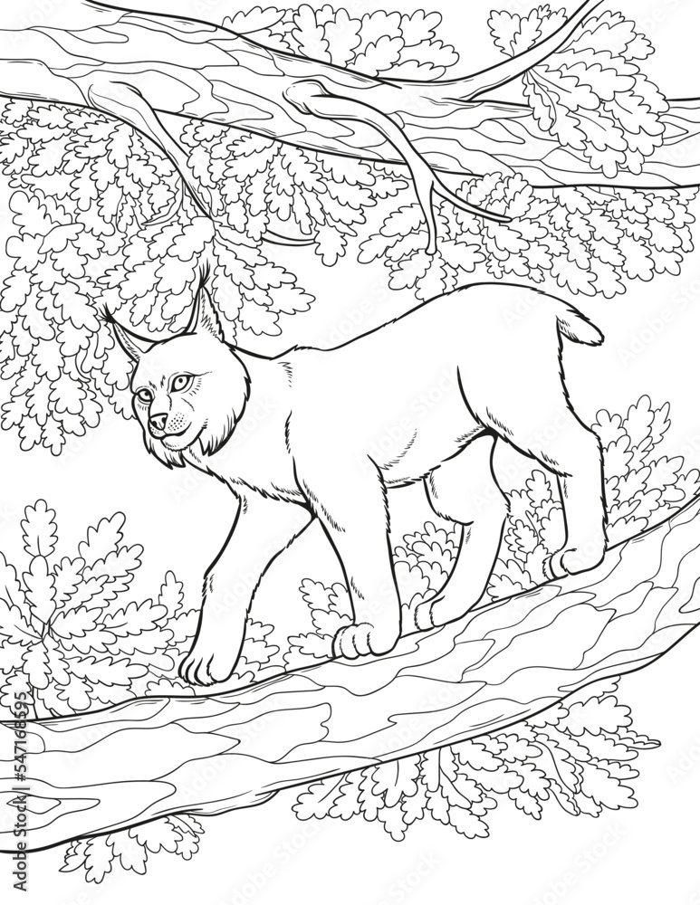 Vector illustration of a lynx on an oak tree against a background of ...