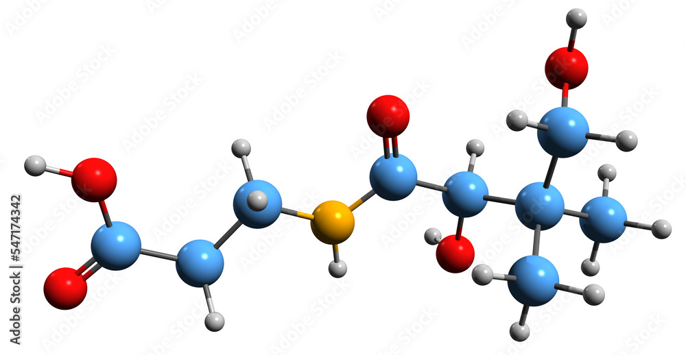 3D image of Pantothenic acid skeletal formula - molecular chemical ...