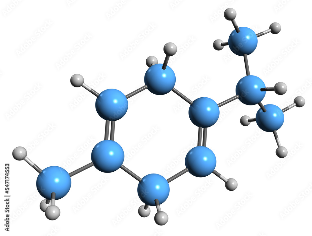 3D image of Terpinene skeletal formula - molecular chemical structure ...