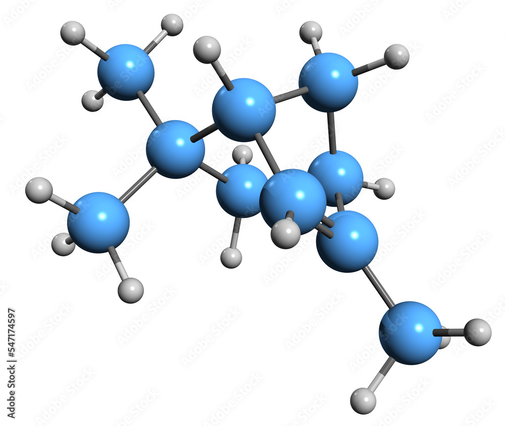3D image of fenchen skeletal formula - molecular chemical structure of ...