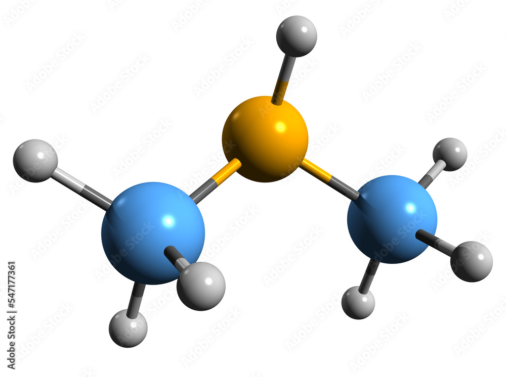 3D image of Dimethylamine skeletal formula - molecular chemical ...